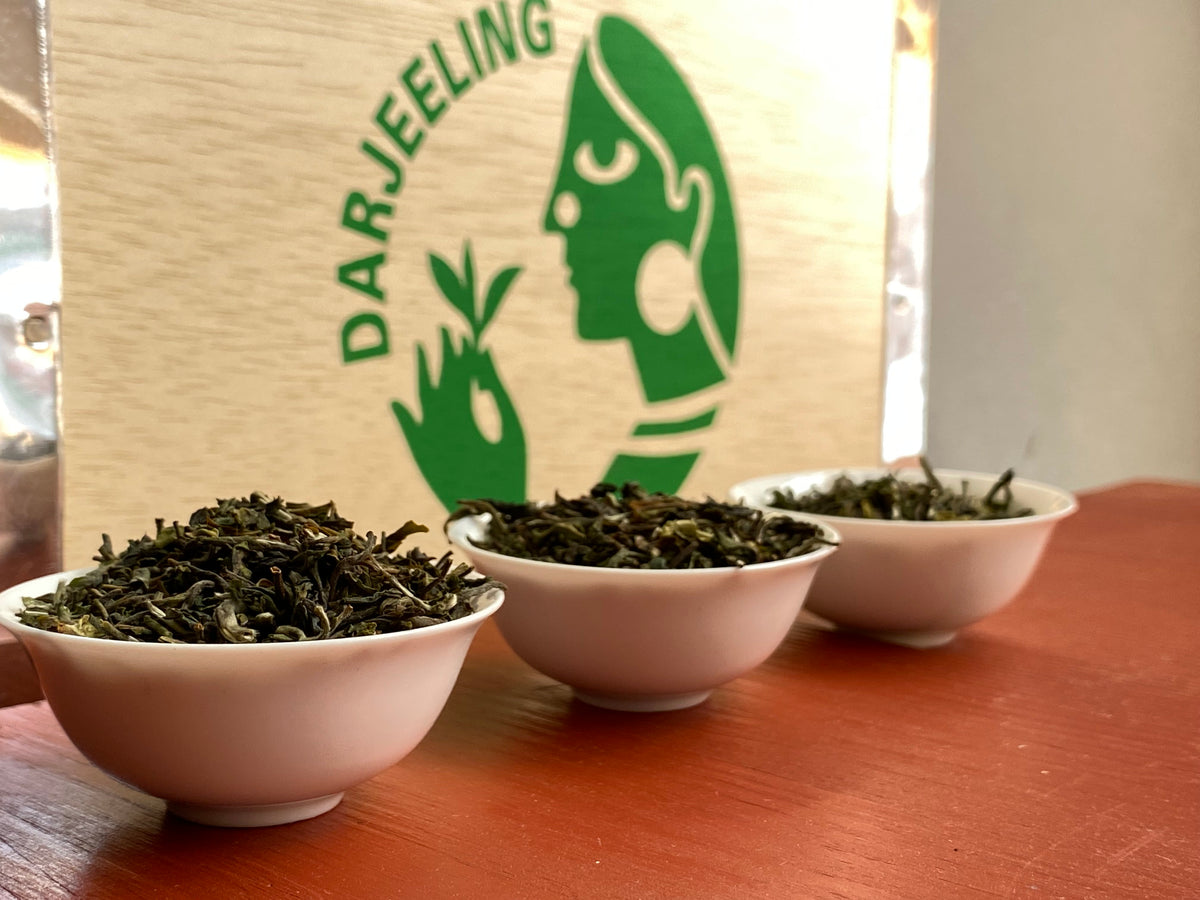 Køb First Flush Darjeeling 2025 | Teens champagne – Nordic Tea